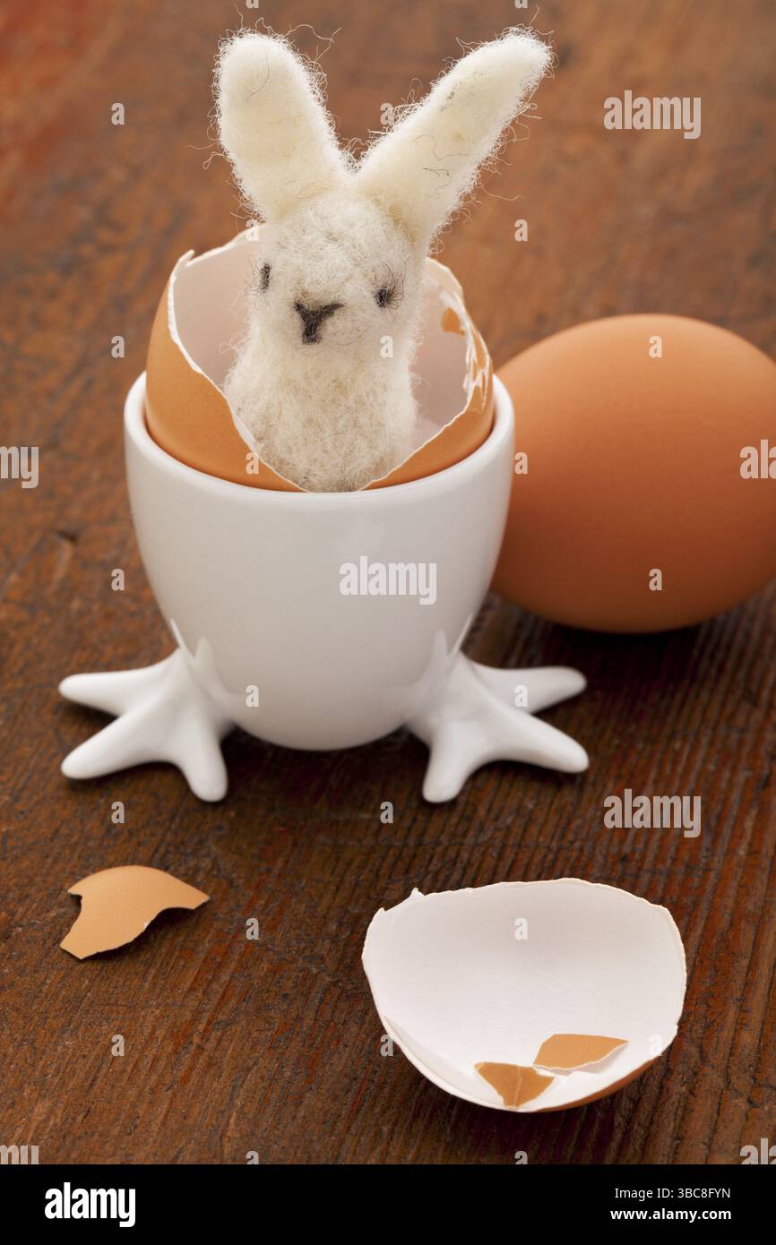 Easter decoration concept - woolen bunny hatching from a chicken egg ...