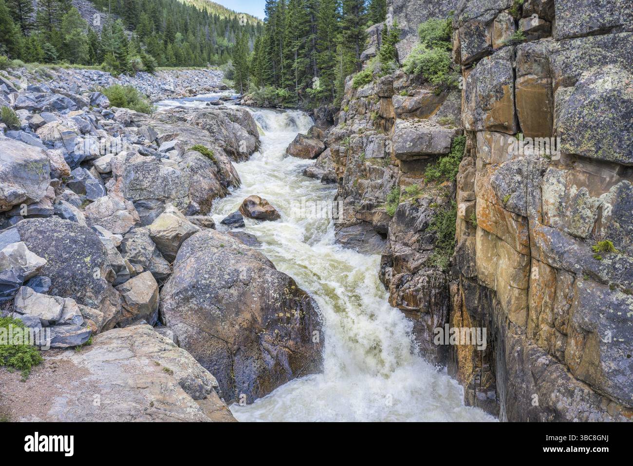 Cache la Poudre River at Poudre Falls - aerial view in summer with high ...