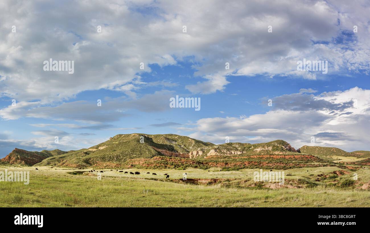 Red Mountain Open Space panorama - mountain ranch landscape in northern ...