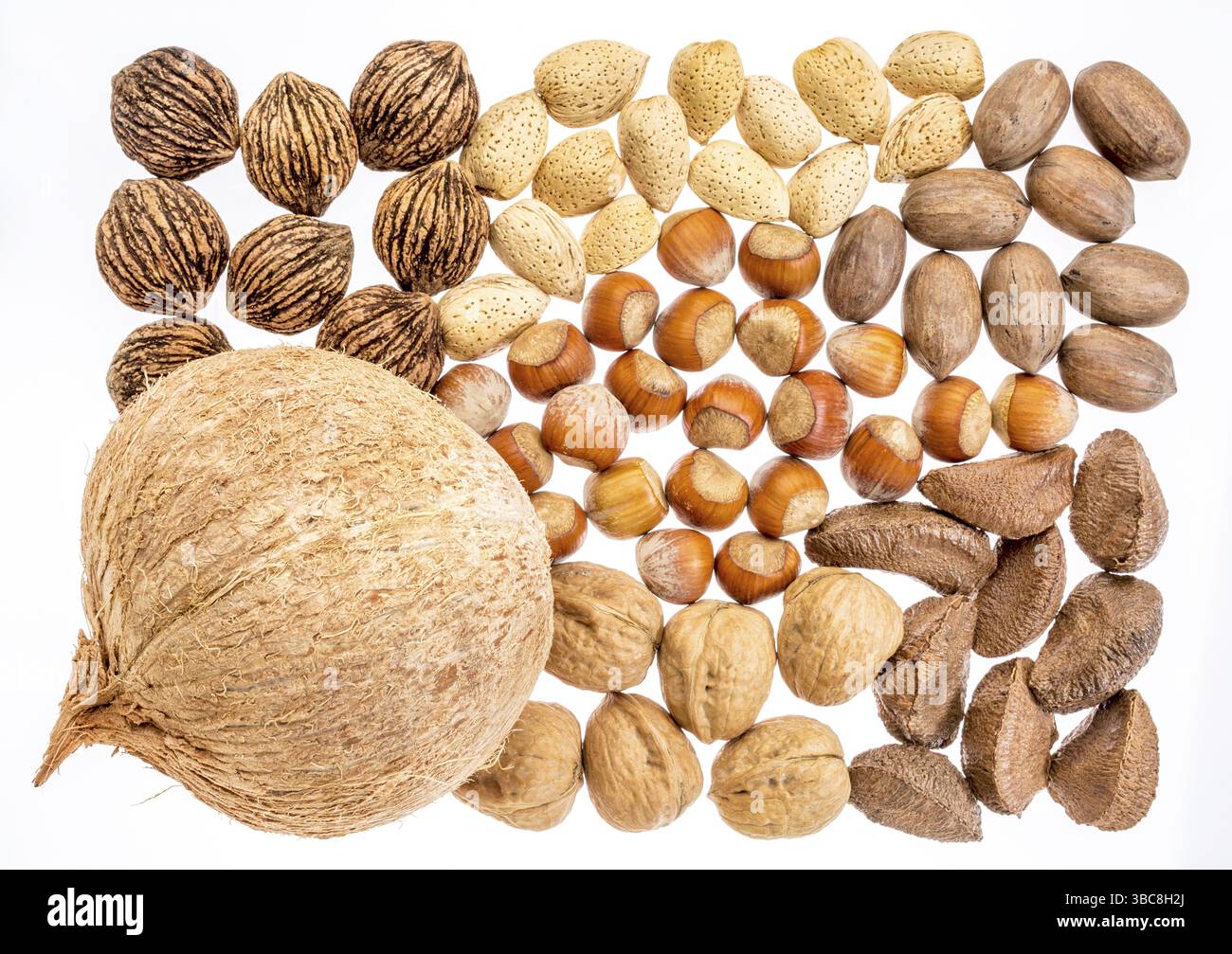 Variety of nuts (coconut, pecan, almond, black and English walnuts ...