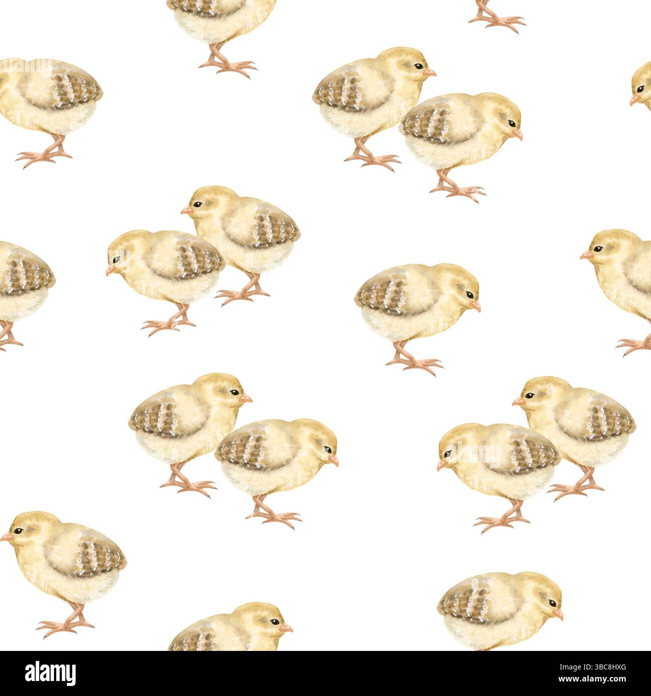 Watercolor yellow baby chicks seamless pattern on white. Easter ...