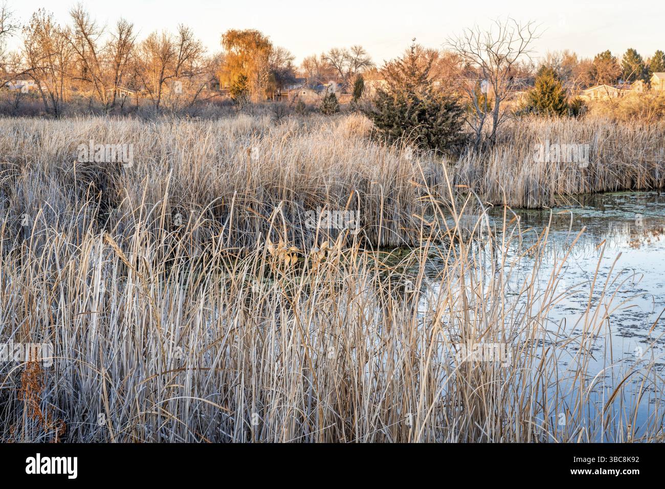 Fall scenery in one of natural areas in Fort Collins, Colorado along ...