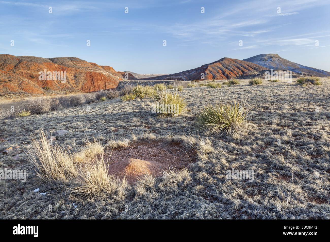 Ant nest sand cone in high prairie surrounded by redstone mountains ...
