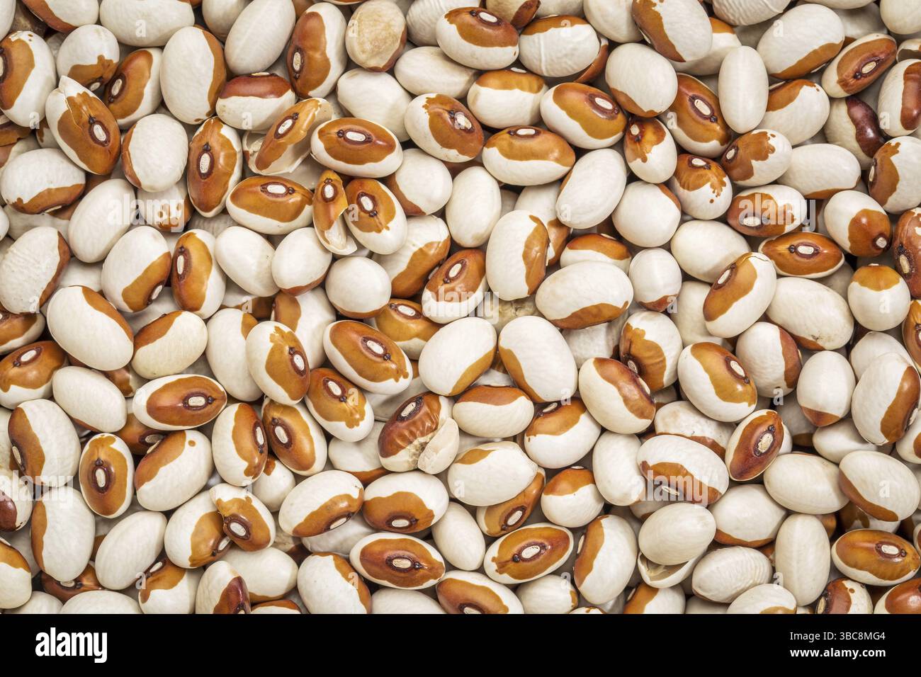 Background and texture of yellow eye beans related to the kidney bean ...