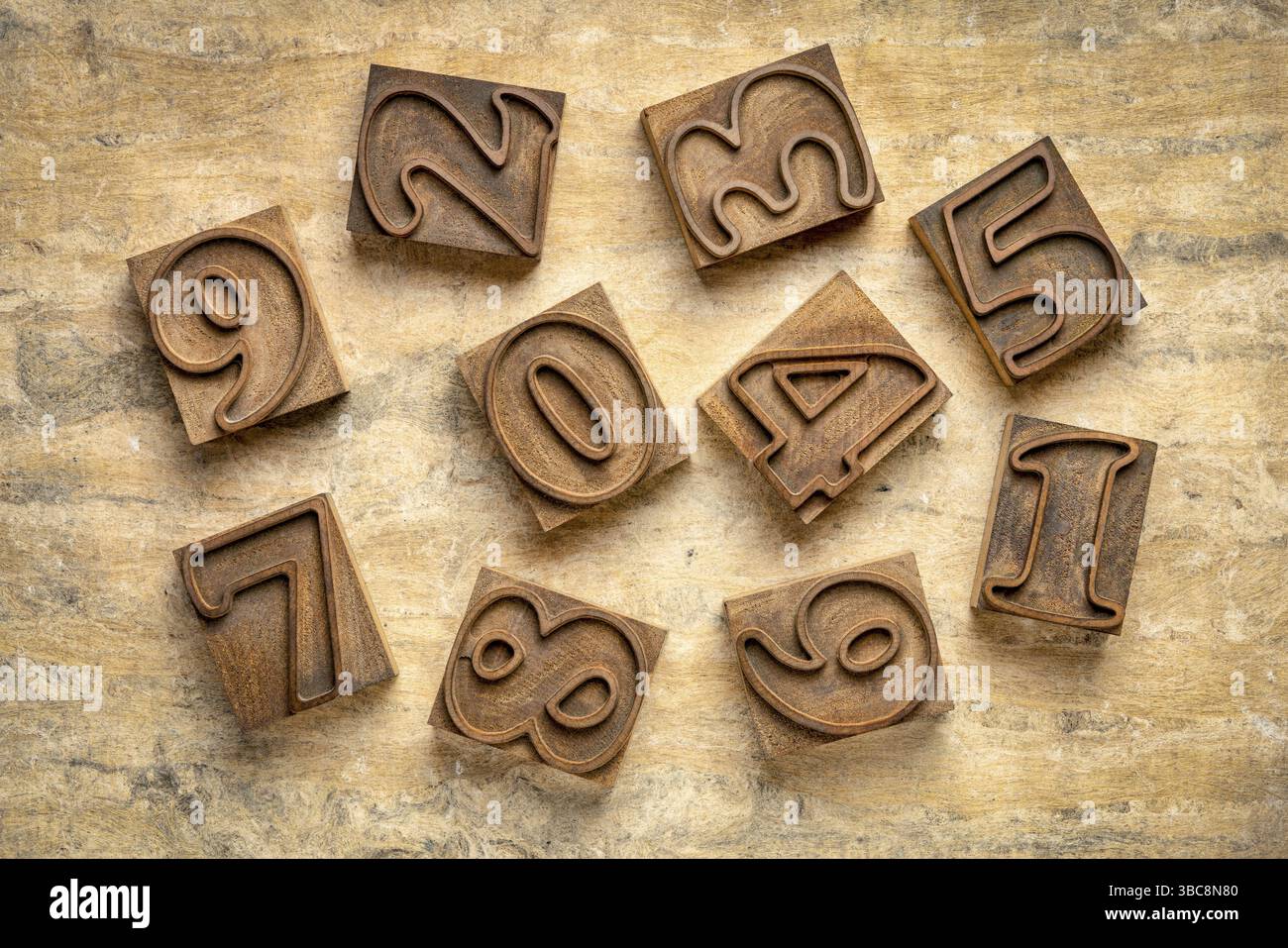 Numbers in letterpress wood type (outlined font) against textured bark ...