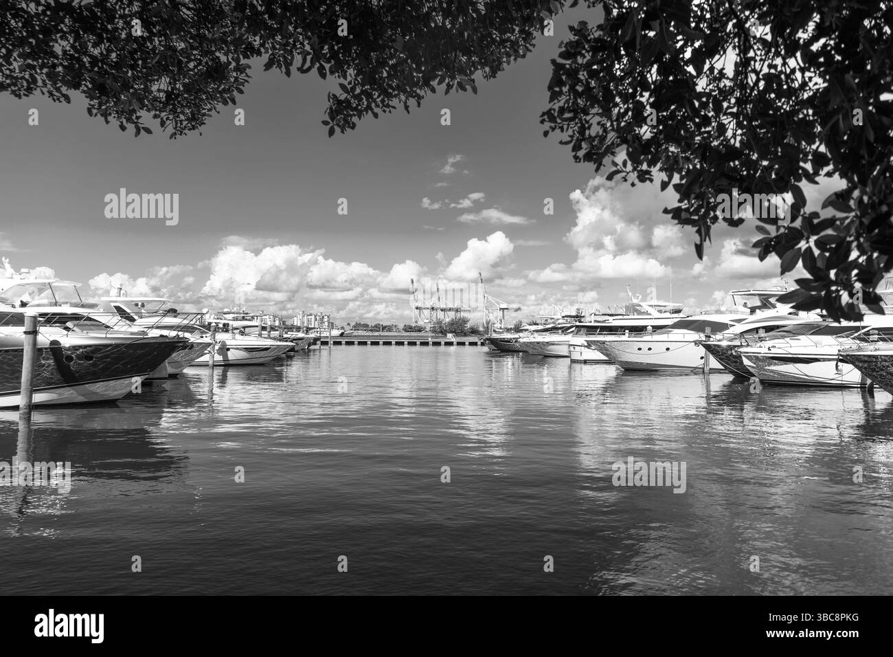Marina in Miami Beach, Florida USA. Yacht boat docked on sea Biscayne ...
