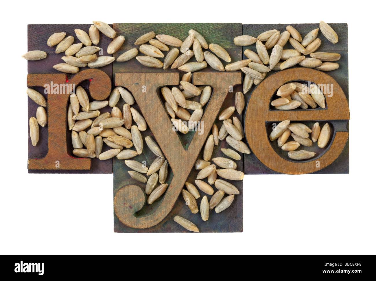 Rye word in vintage letterpress printing blocks combined with grain ...