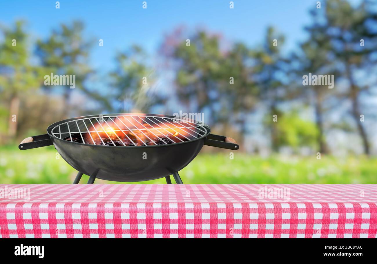 summer time picnic with grill BBQ outdoors, table with red checkered ...