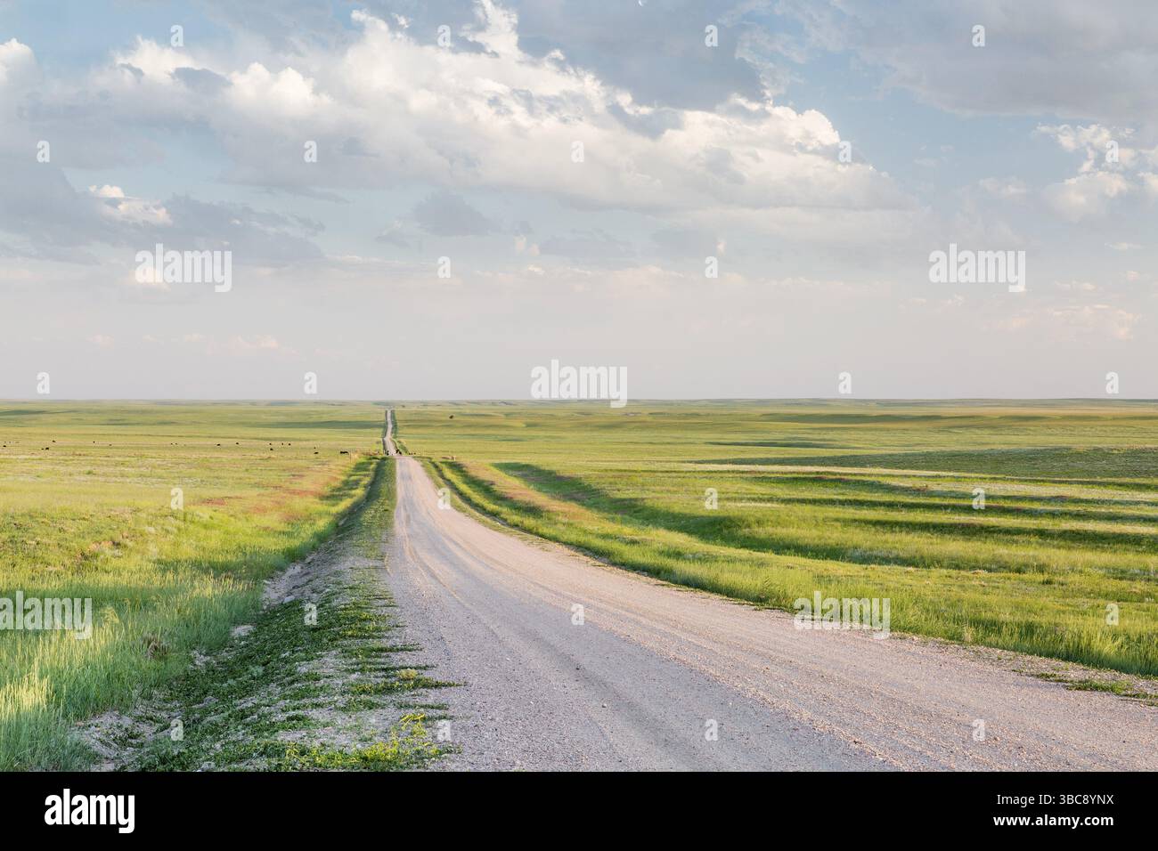 Rural road in eastern Colorado prairie in springtime, Pawnee National ...