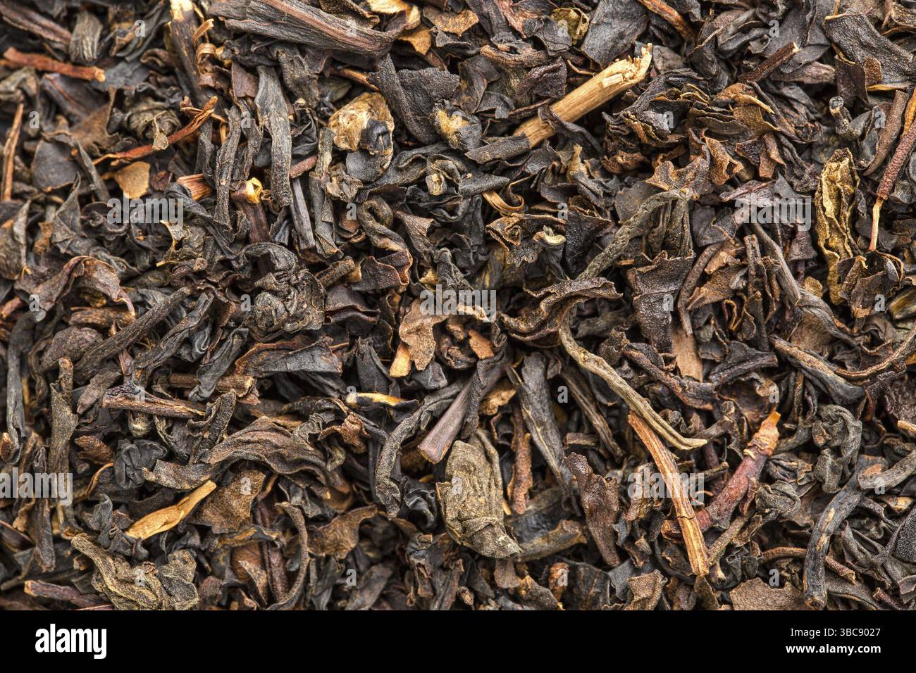 Texture of Chinese bohea black tea, macro image of loose leaves Stock ...