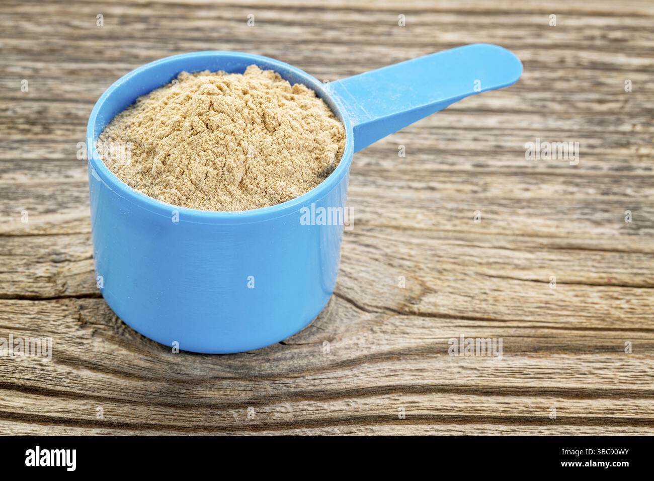Maca root powder in a blue plastic measuring scoop against grained wood ...