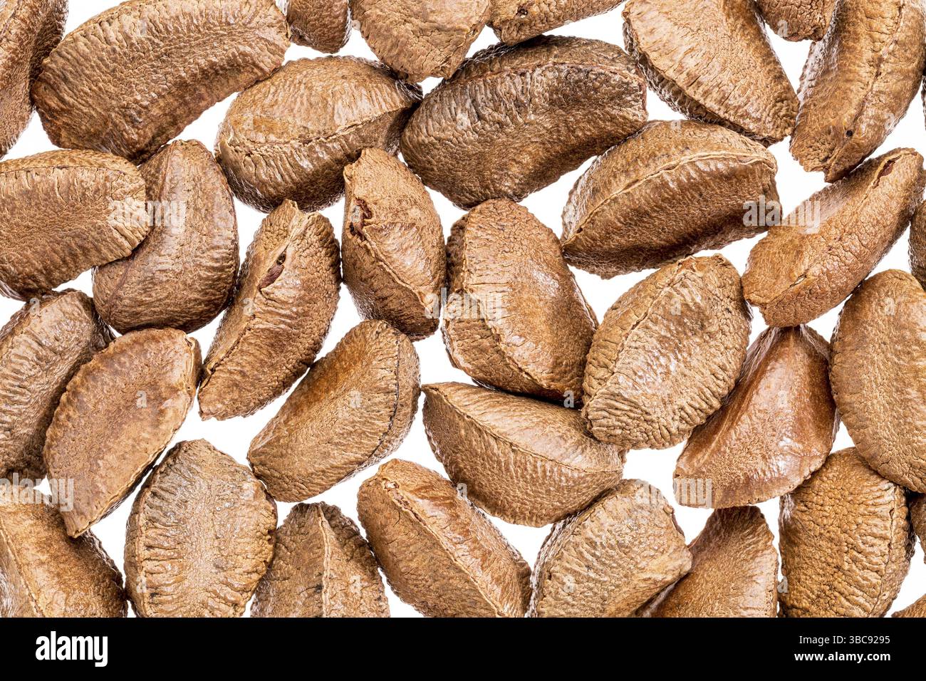 Brazilian nuts in shells against white background Stock Photo - Alamy