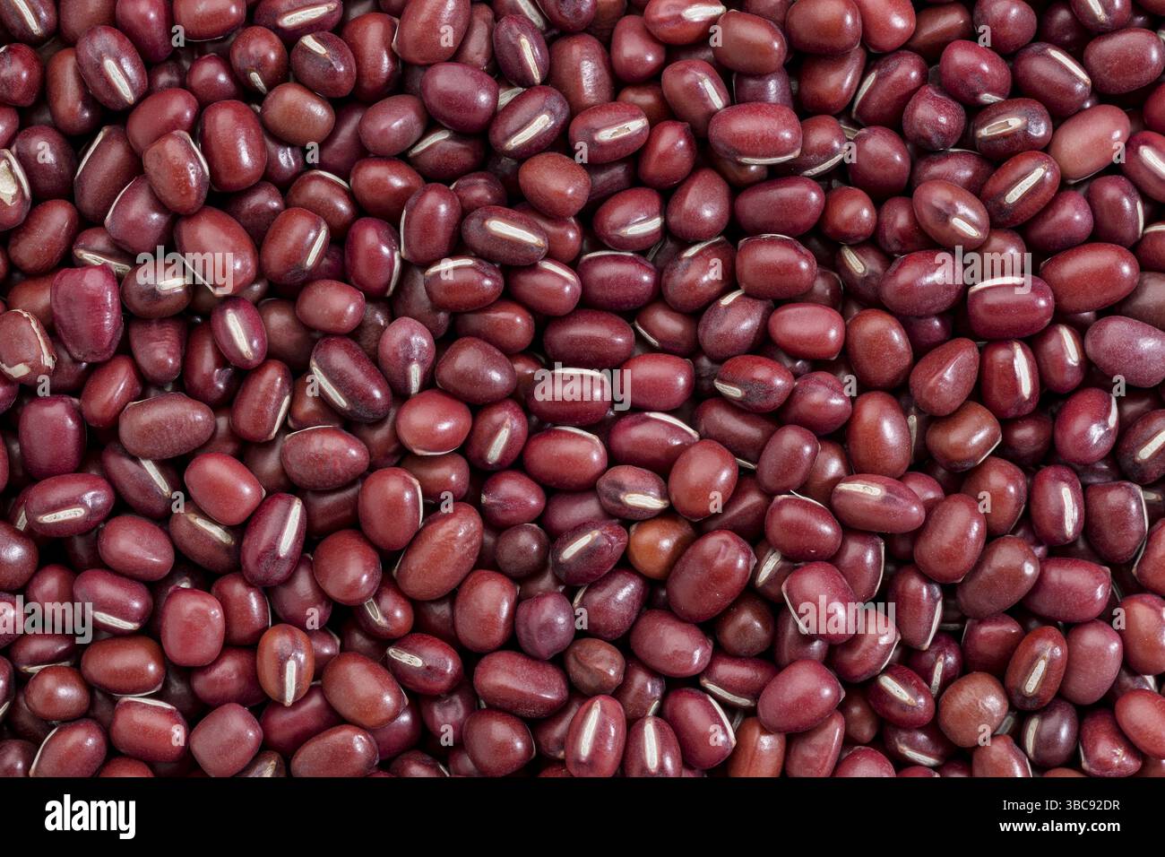 Background and texture of Japanese adzuki (aduki, azuki) beans Stock ...