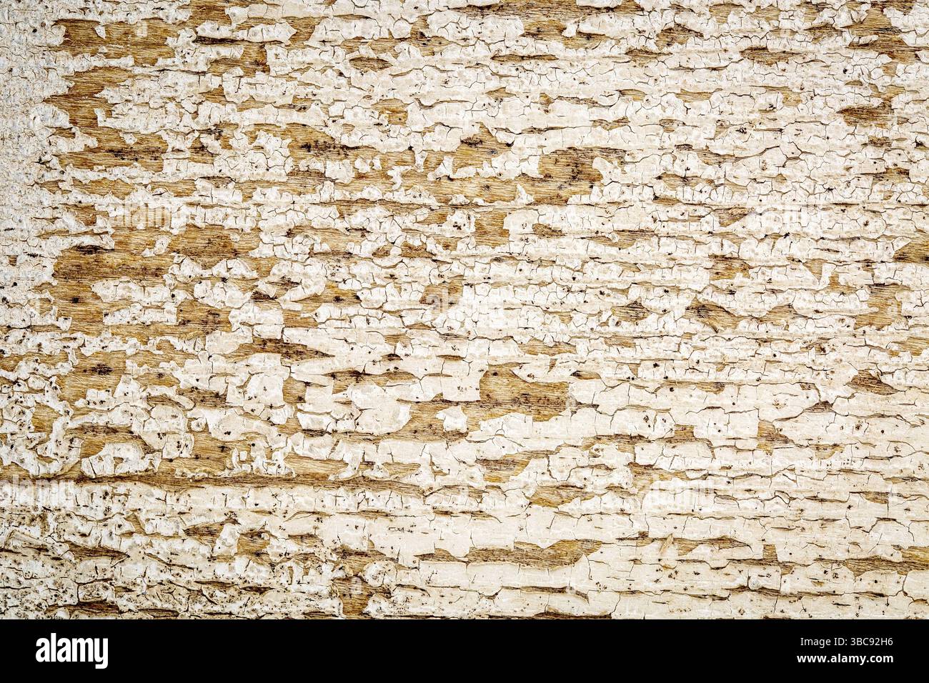 Background texture of weathered barn wood with white paint peeling off Stock Photo - Alamy