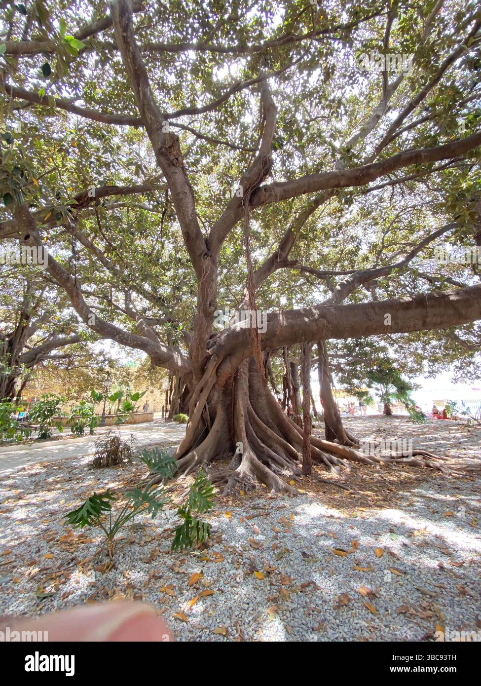 Low angle perspective revealing hi-res stock photography and images - Alamy