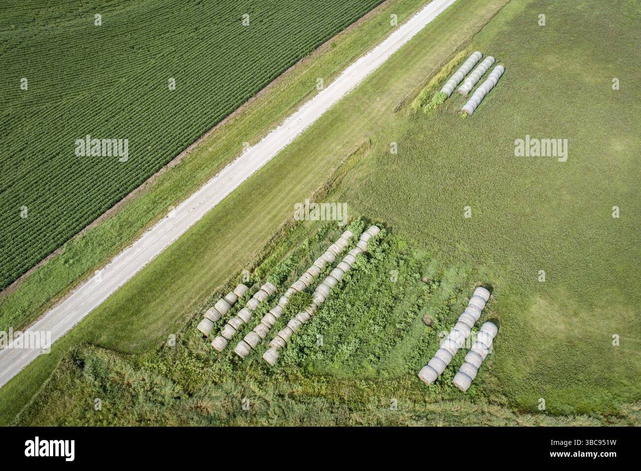 Aerial view of rural Nebraska landscape with a farm road, soybean field ...