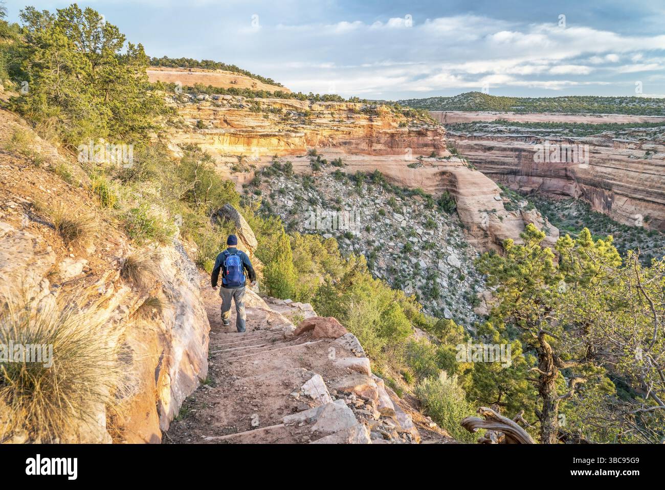 Male hiker descending on a steep trail into Ute Canyon in Colorado ...