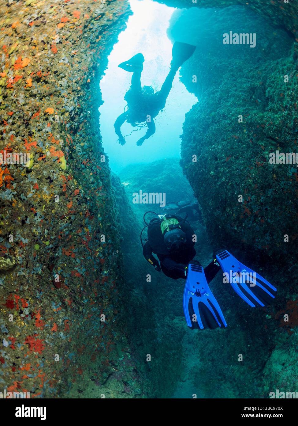 diving between the walls of underwater canyon Stock Photo - Alamy