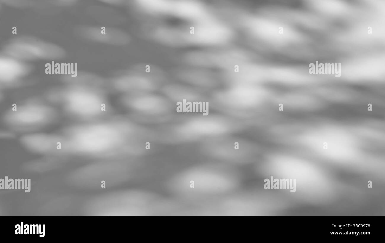 The shadow of a tree sways on a white background Stock Photo - Alamy