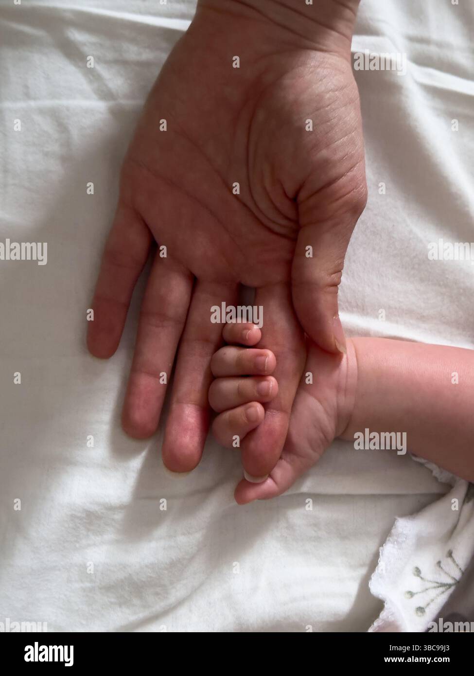Life stages baby to adult hi-res stock photography and images - Alamy