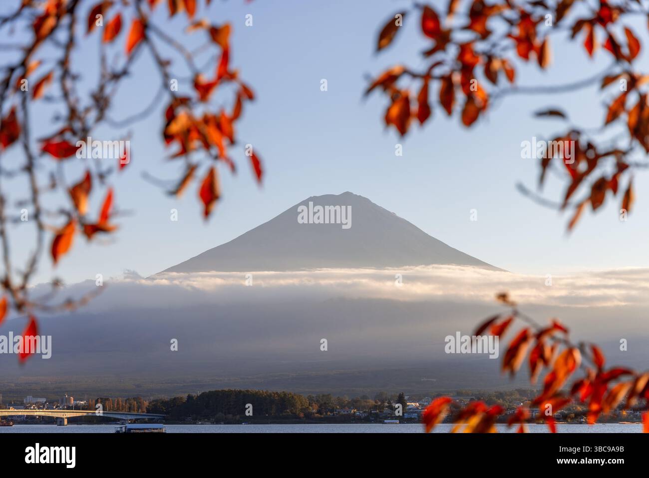 Vibrant autumn leaves frame the view of Mount Fuji, partially veiled by a band of clouds. The ...