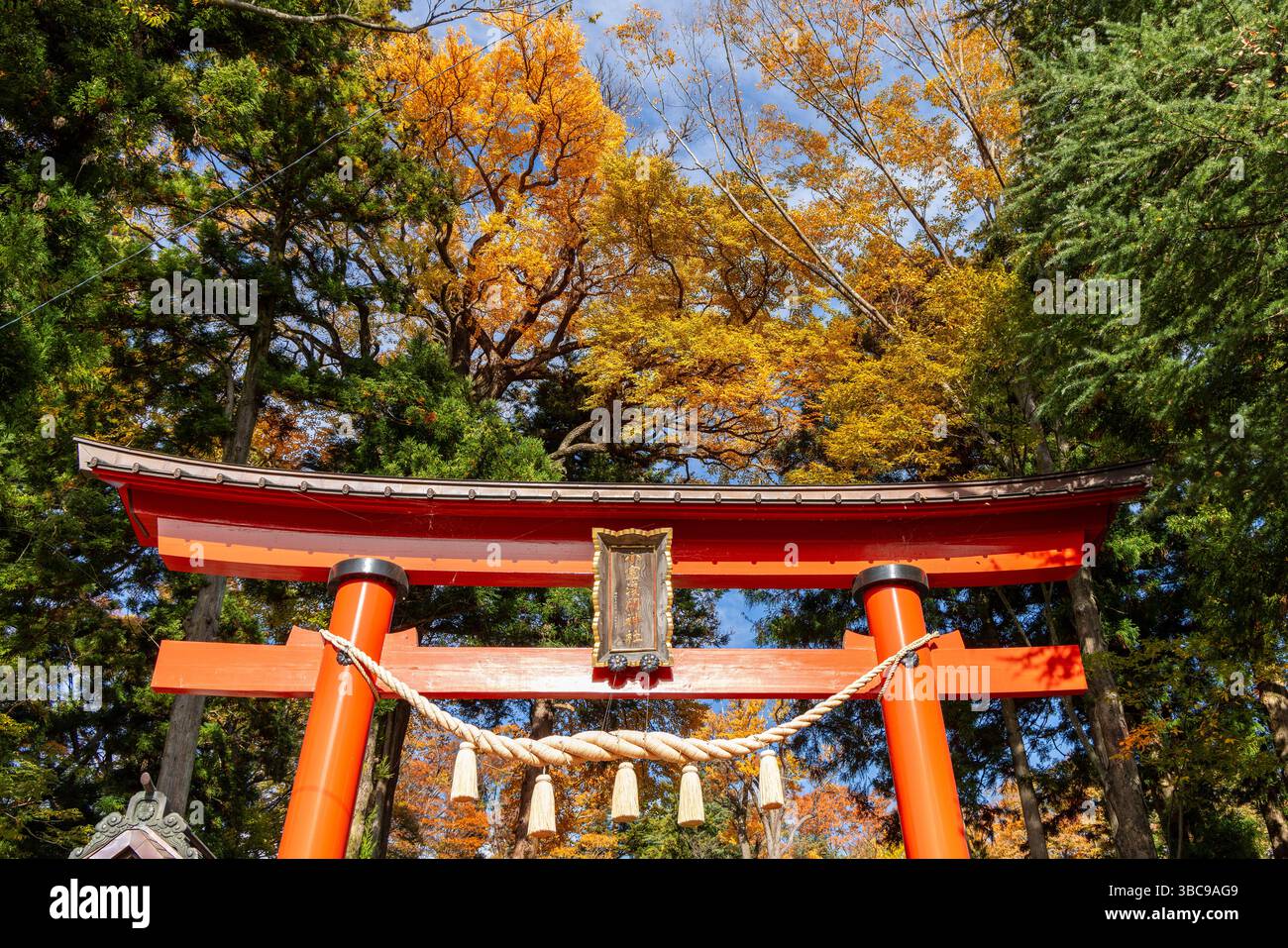 Traditional torii gate framed hi-res stock photography and images - Alamy