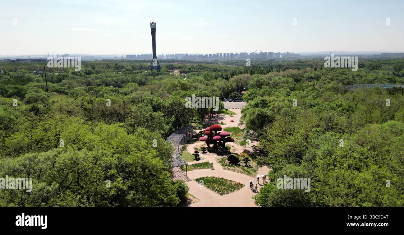 Aerial photo shows the early summer scenery of Shenyang World Expo ...
