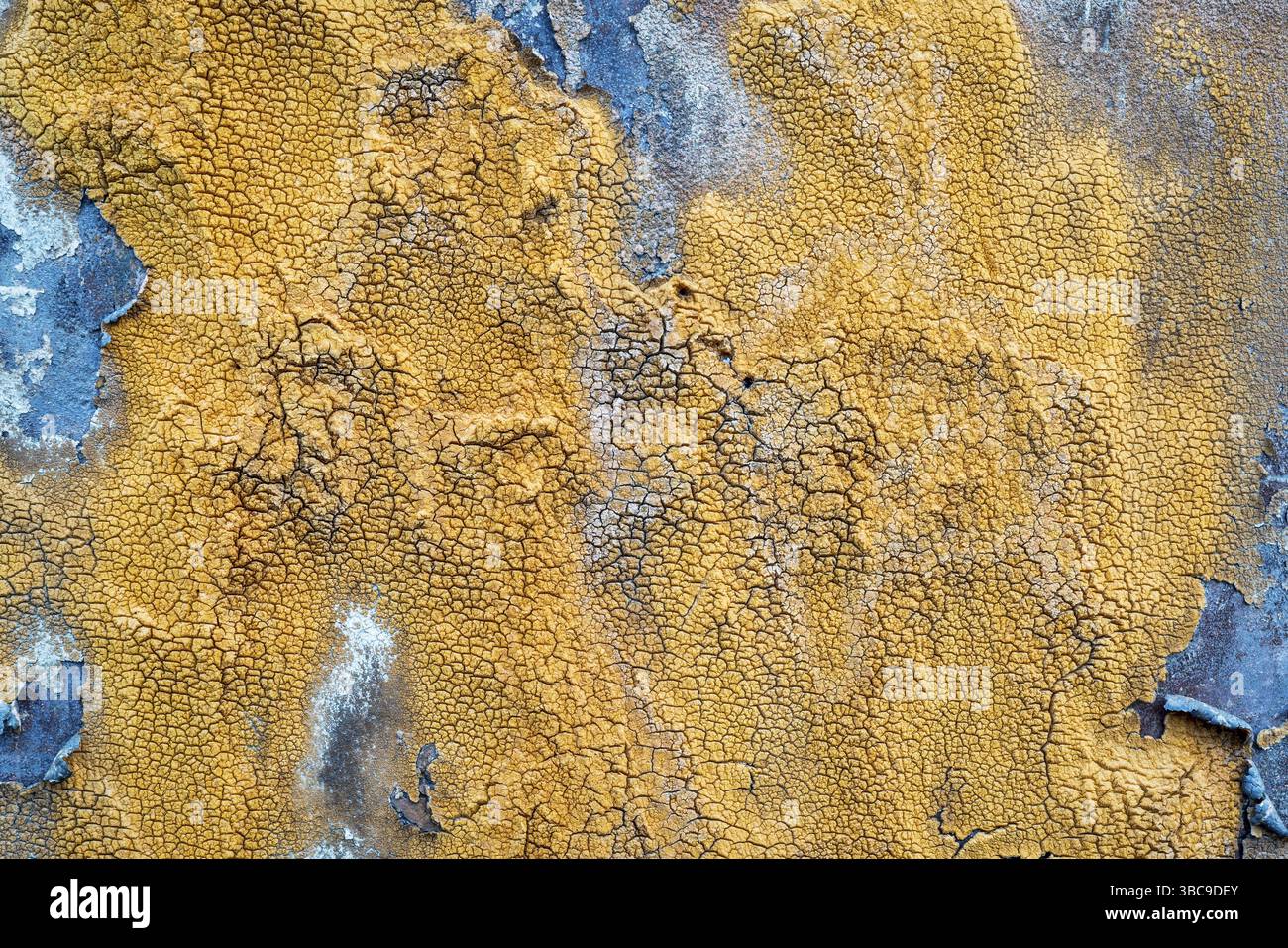 Texture of orange lichen growing on an old water tank in Utah desert ...
