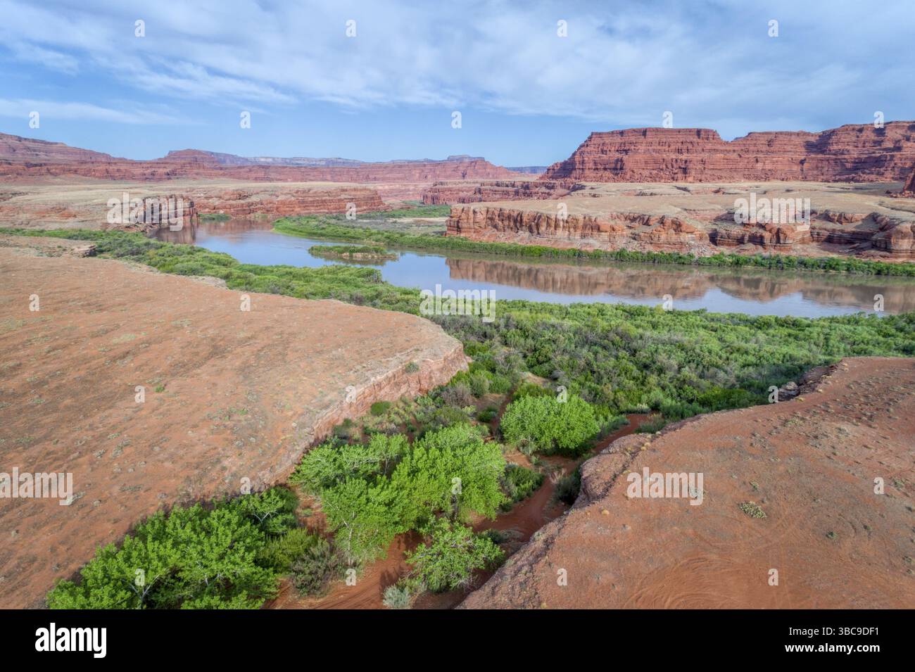Aerial view of the canyon of Colorado River below Moab, Utah with green ...