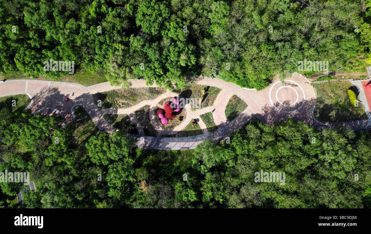 Aerial photo shows the early summer scenery of Shenyang World Expo ...