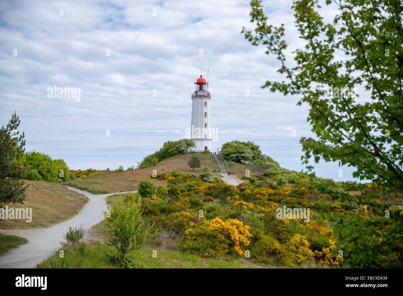 Insel Hiddensee, Ostsee, Urlaub, Tourismus, Insel, Frühling, 2025, Mai ...