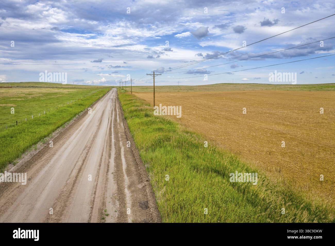 Aerial view of rural Nebraska landscape with a farm road and wheat ...