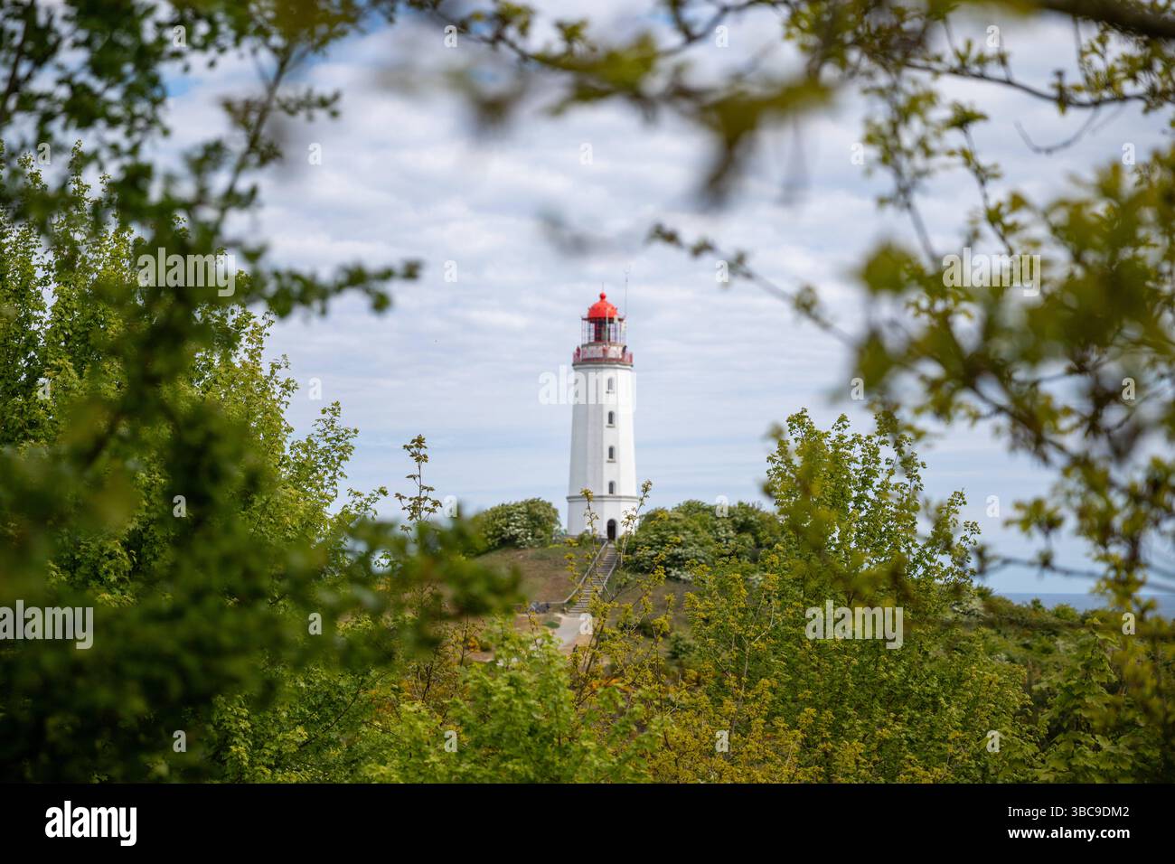 Insel Hiddensee, Ostsee, Urlaub, Tourismus, Insel, Frühling, 2025, Mai ...