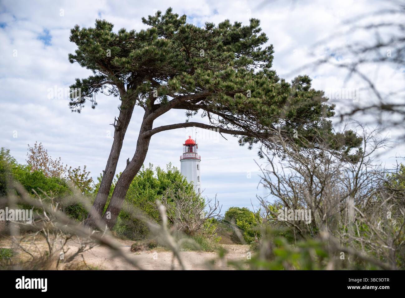 Insel Hiddensee, Ostsee, Urlaub, Tourismus, Insel, Frühling, 2025, Mai ...