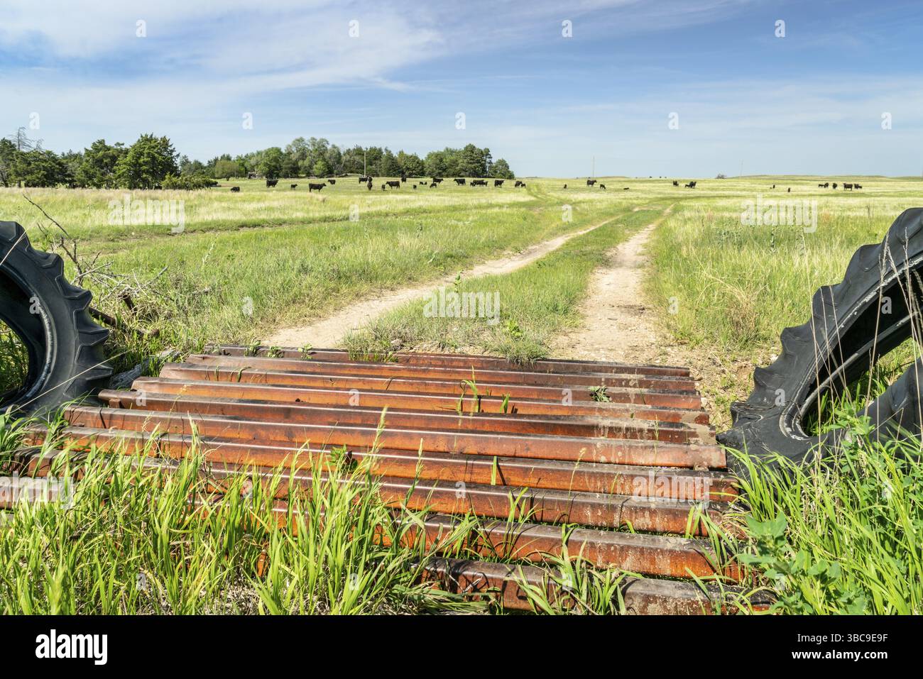 Farm road and cattle guard in rural Nebraska Stock Photo - Alamy