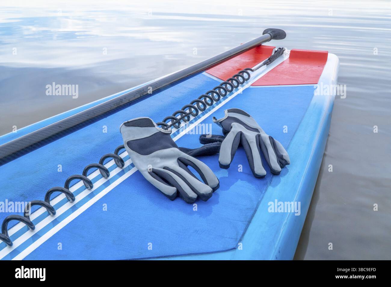 Paddling gloves, safety leash and paddle on a deck of stand up ...