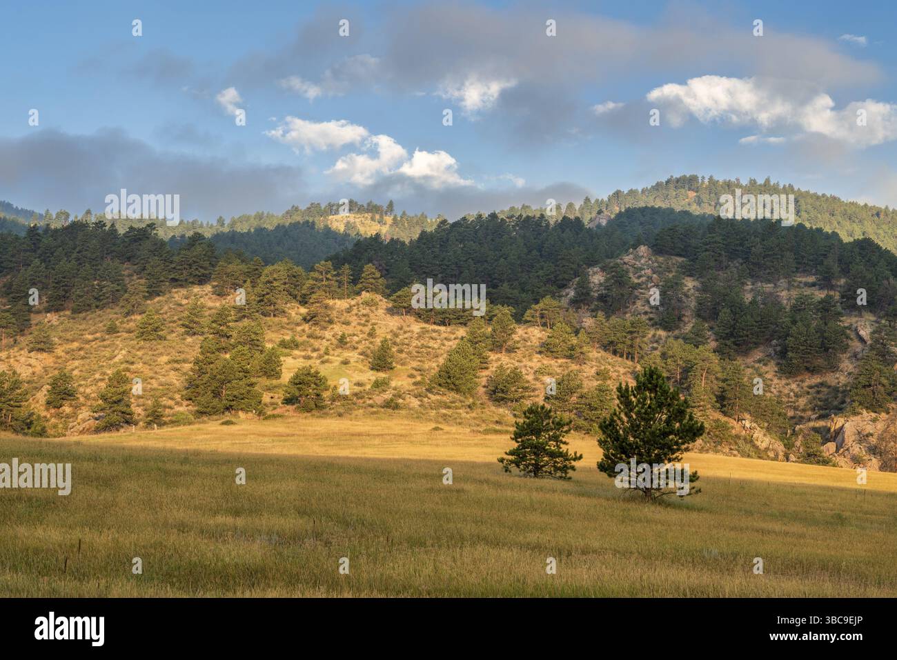 Summer scenery of Rocky Mountains foothills, Lory State Park in ...