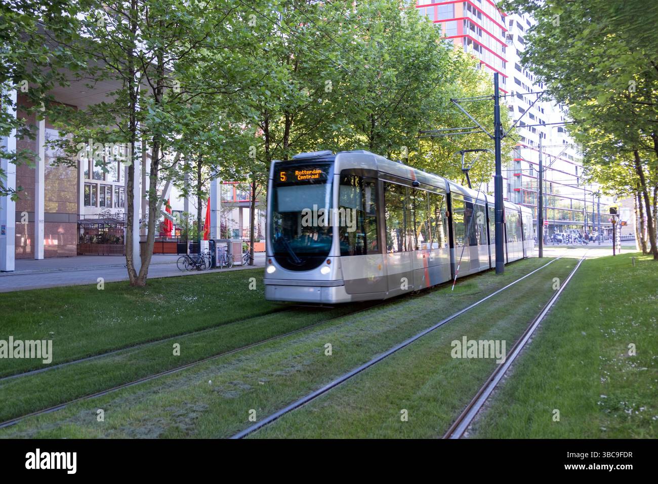 Tram in Rotterdam city, public transportation in town, sunny day in ...