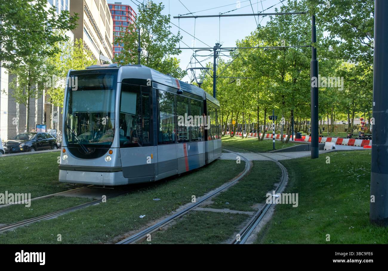Tram in Rotterdam city, public transportation in town, sunny day in ...
