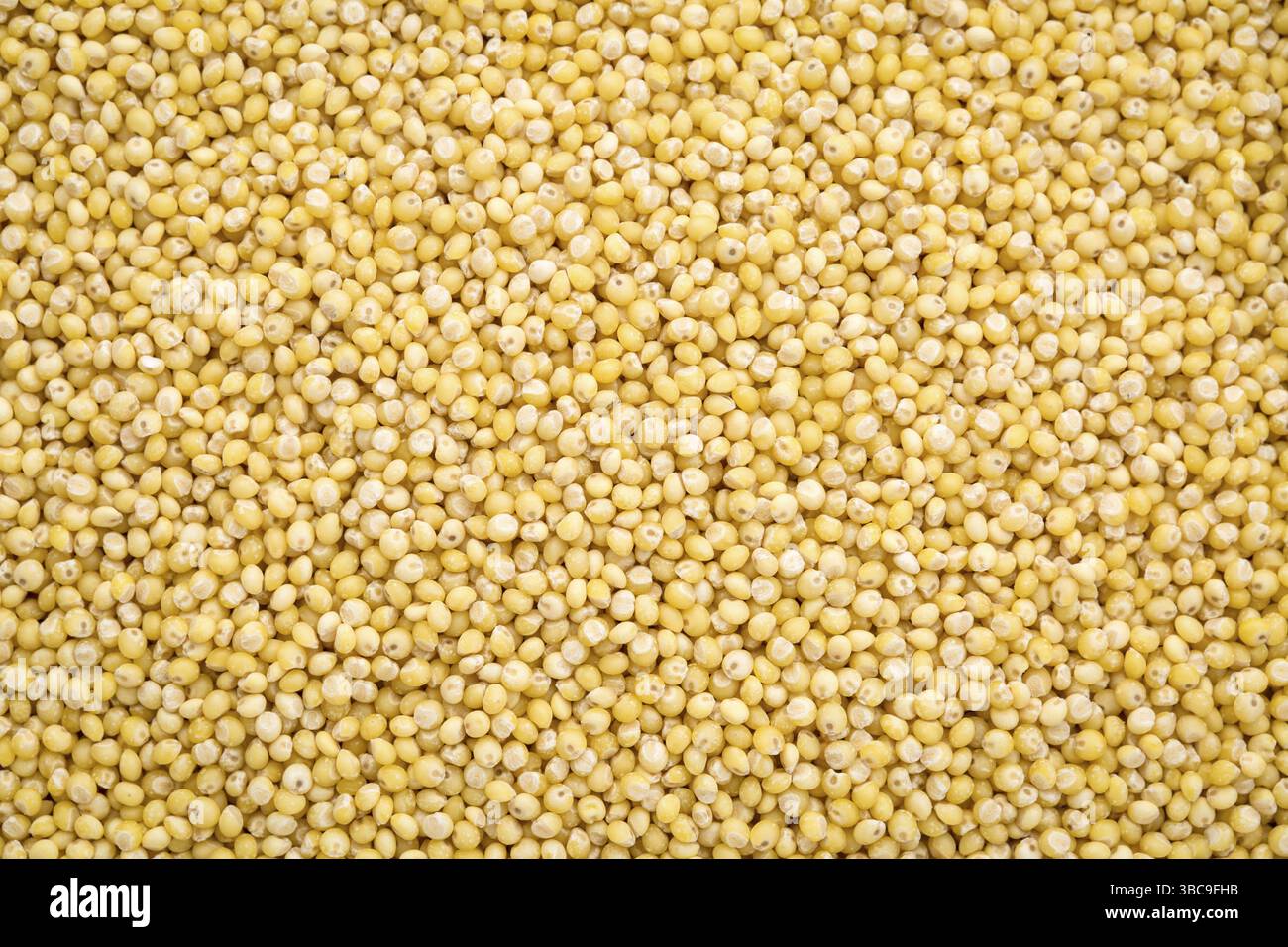 Gluten free millet grain background and texture Stock Photo - Alamy
