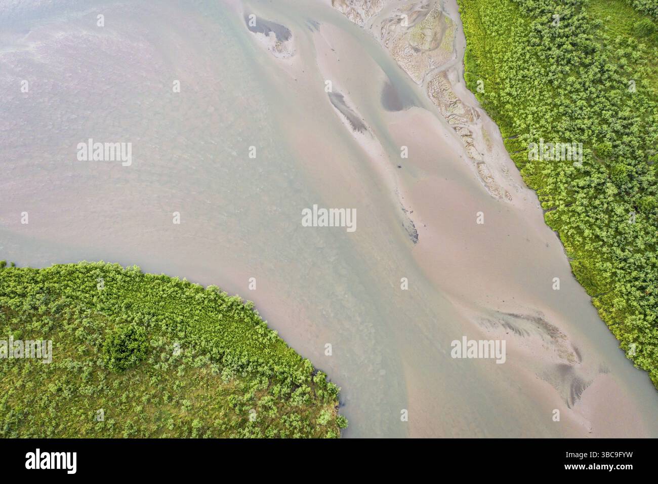 Shallow and wide Dismal River at Nebraska National Forest, aerial view ...