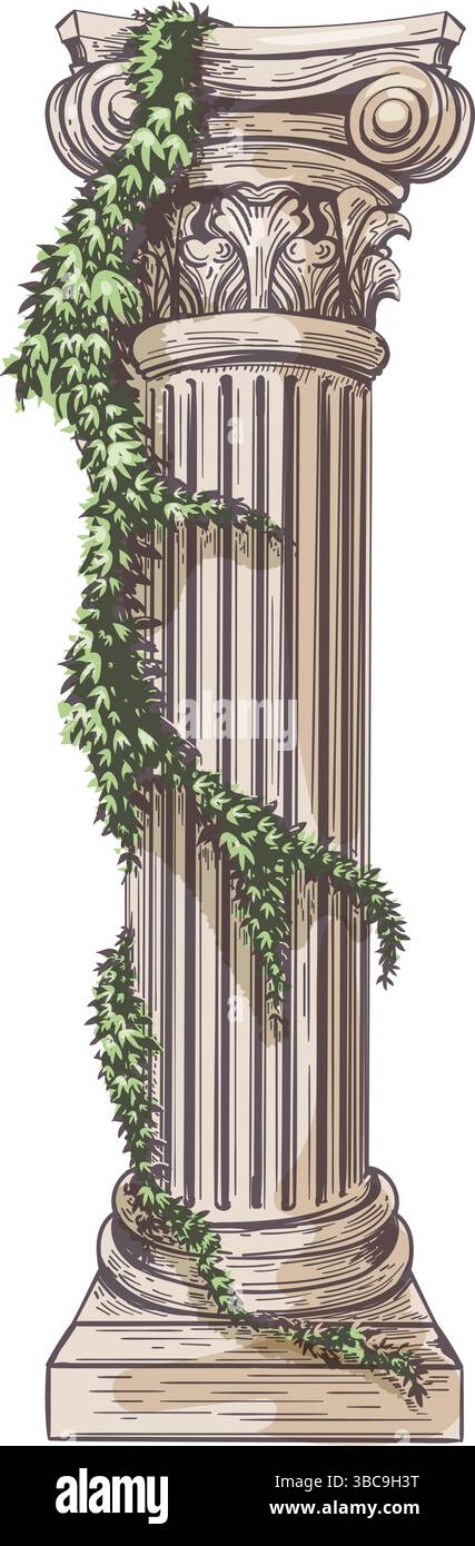 Antique column with ivy sketch Stock Vector Image & Art - Alamy