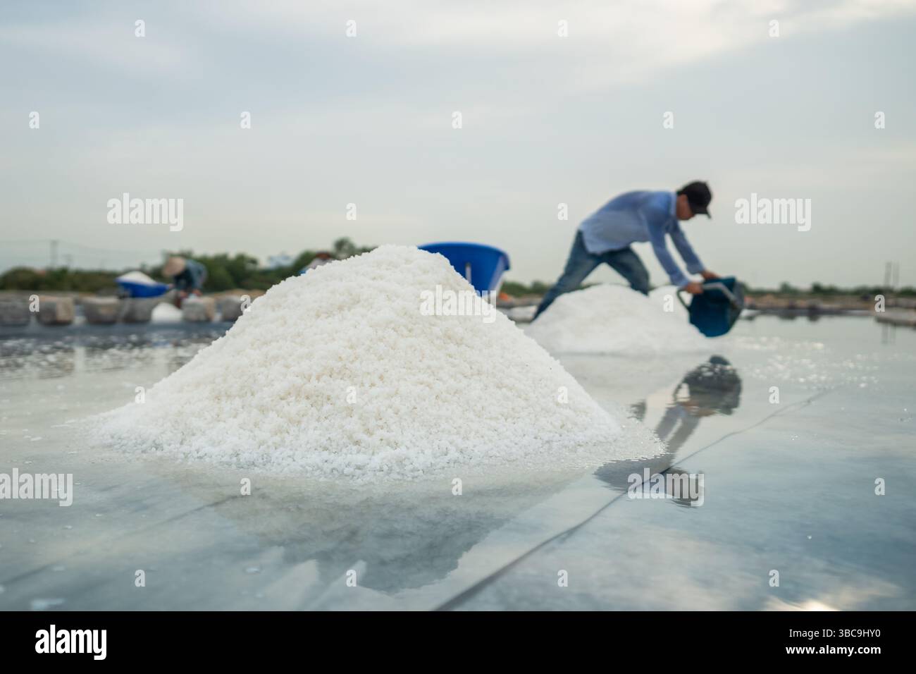 Worker fill salt pond with seawater in Hon Knoi village use bucket for ...