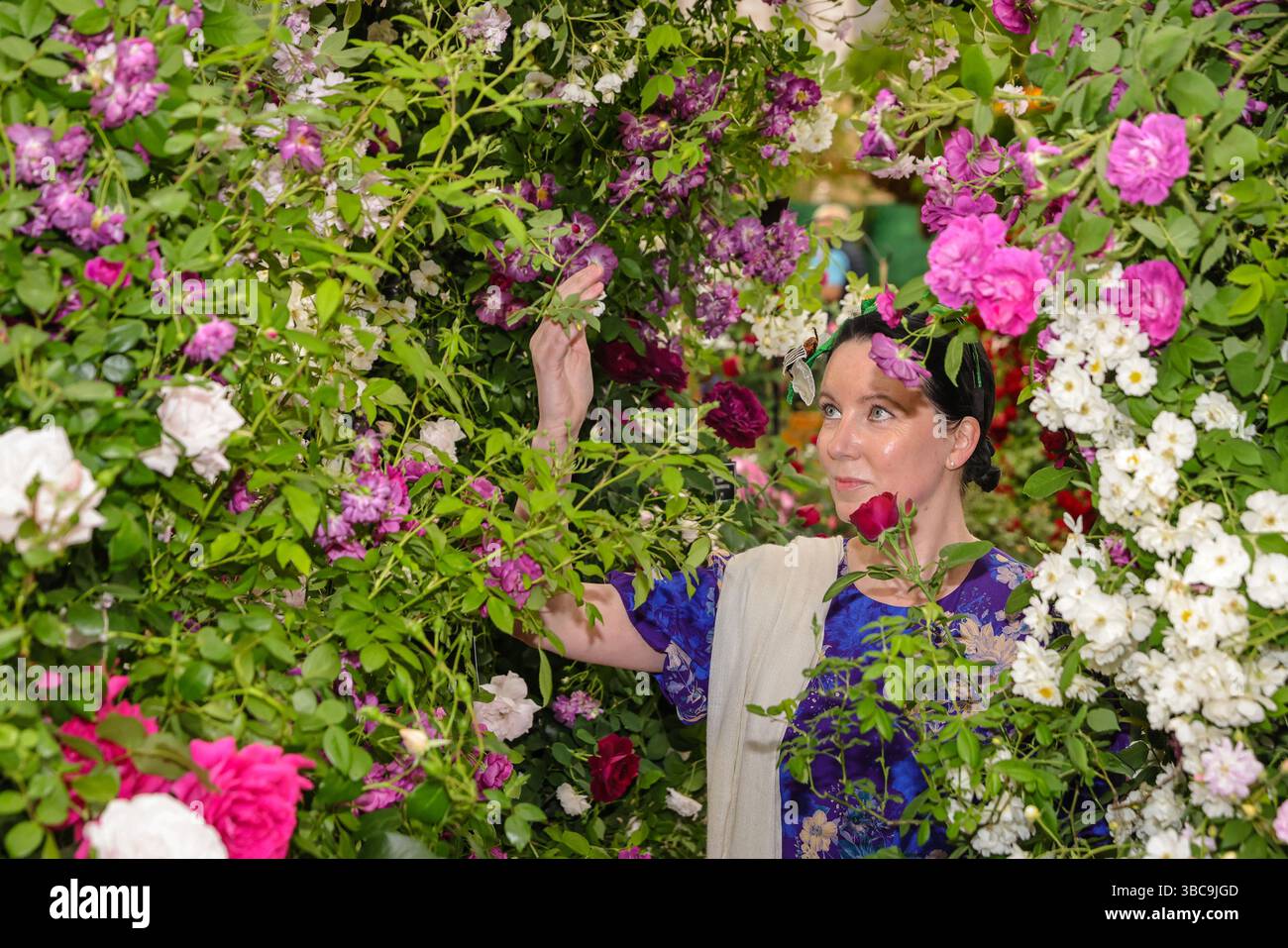London, UK. 19th May, 2025. A visitor poses with the beautiful roses at ...