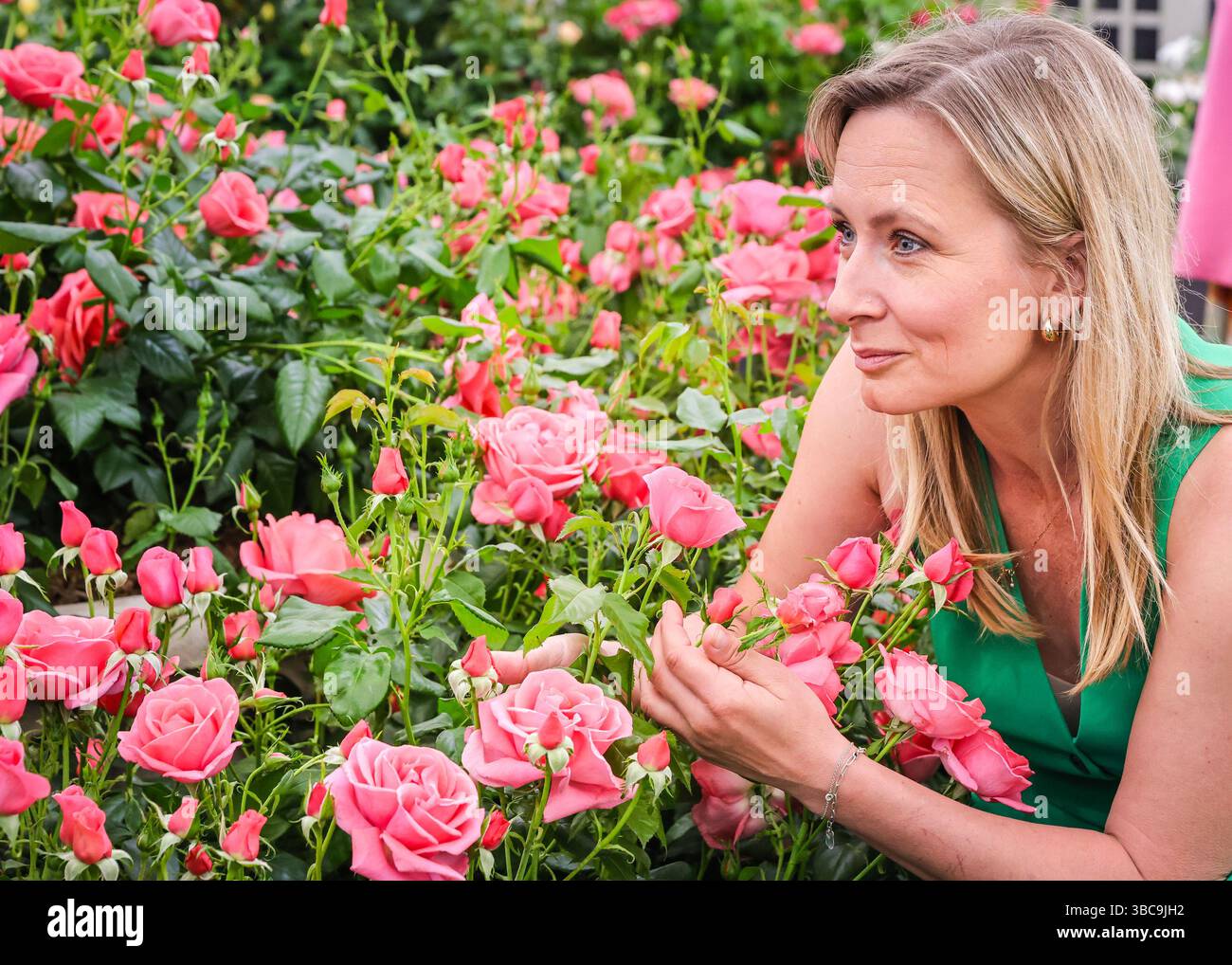 London, UK. 19th May, 2025. Mia Whitham, designer of the Harkness Roses ...