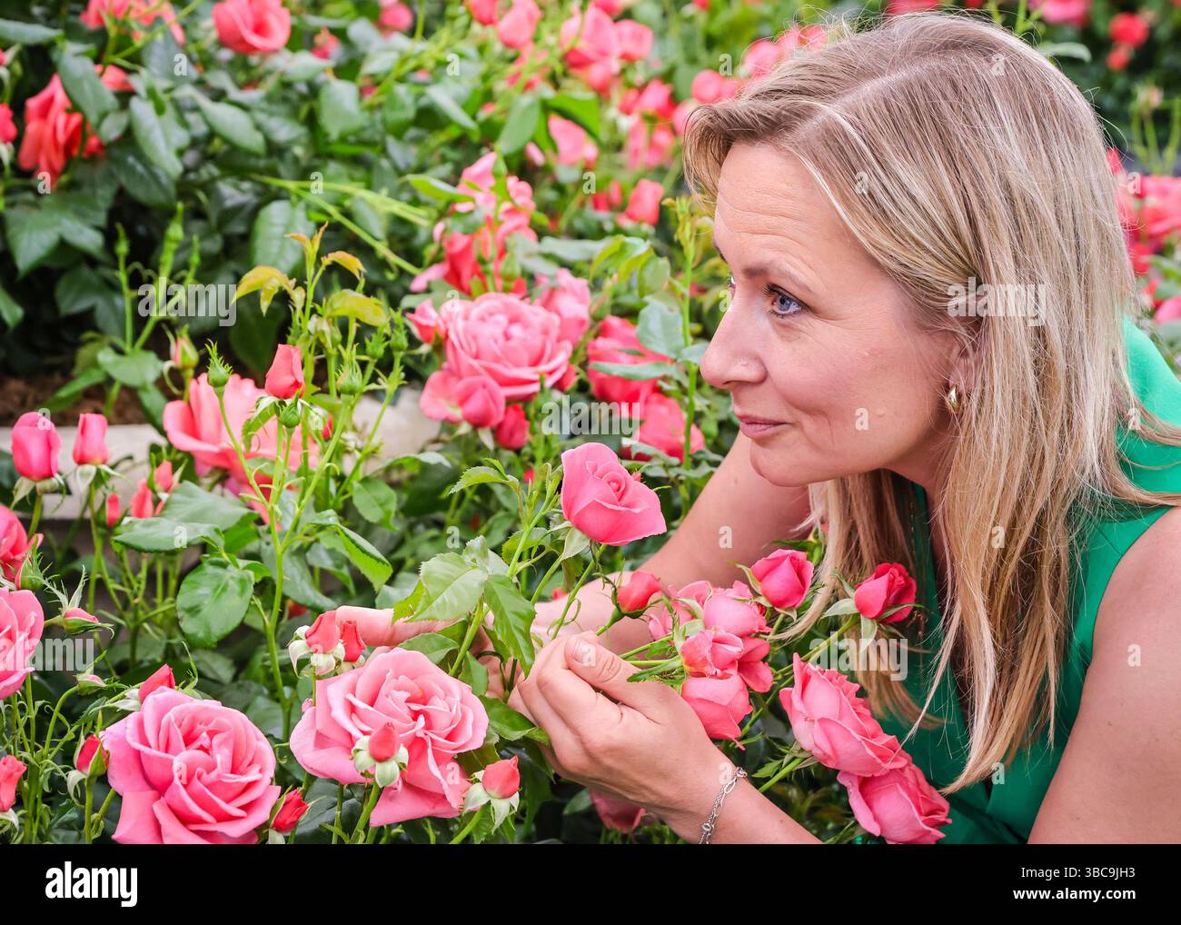 London, UK. 19th May, 2025. Mia Whitham, designer of the Harkness Roses ...