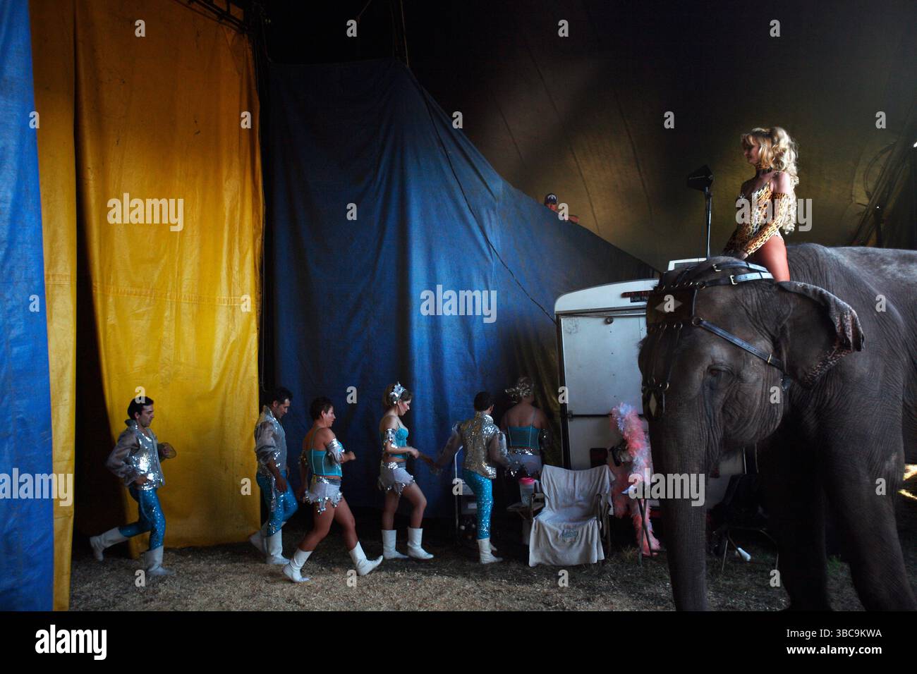 An elephant and its handler prepare for their performance backstage at ...
