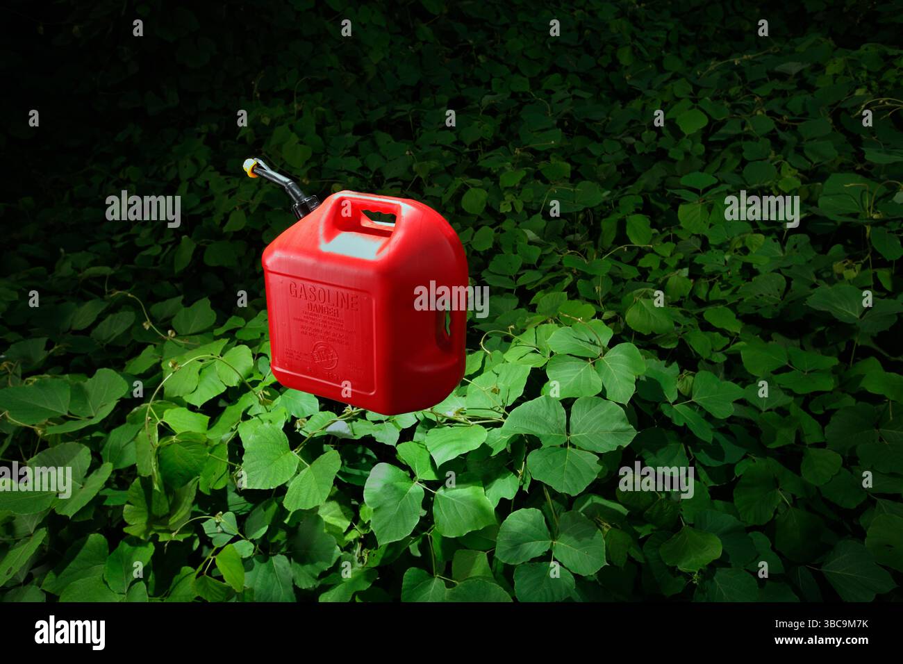 A gas can floating over a field of leaves Stock Photo - Alamy