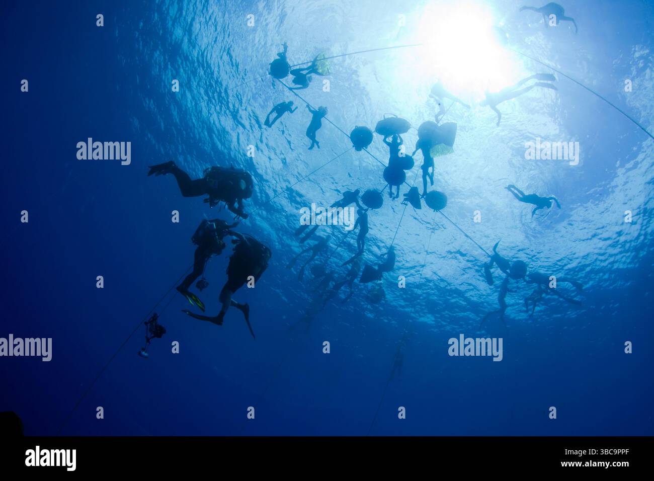 Underwater view of the diving platforms, red safety floats, dive lines ...