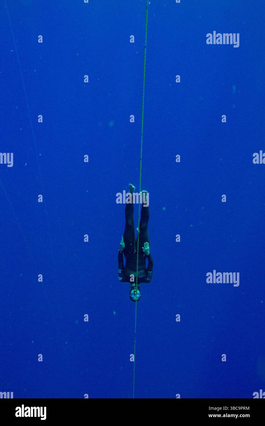 Ashley Chapman begins her world-record breaking dive of 63 meters with ...